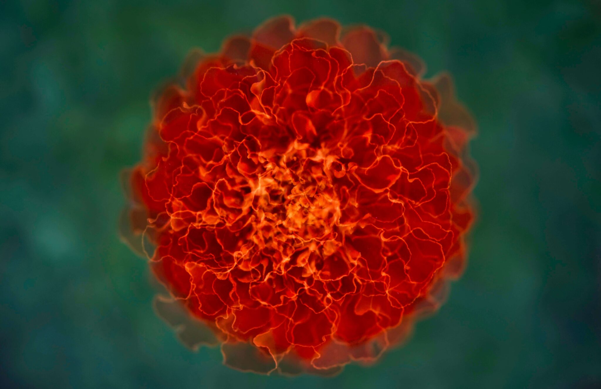 Cancer Detection Biomarkers - Biomarks.ai